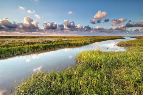 Nationalpark Vadehavet